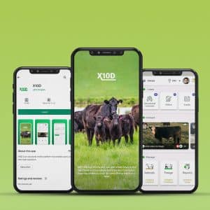 Portfolio - Webgen Technologies